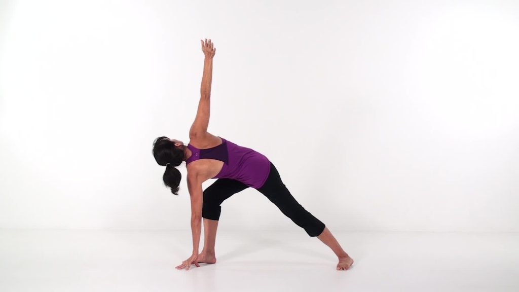 Personal Trainer Fitness Programs – Exercises | Total PT Fitness